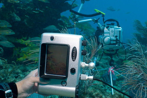 Seacam Polecam Components - SEACAM USA